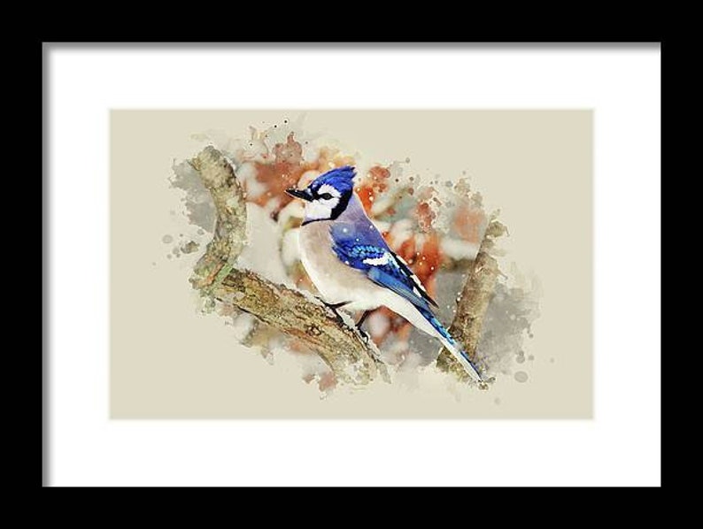 Blue Jay Bird Art Print Watercolor Bird Wildlife Print Blue | Etsy