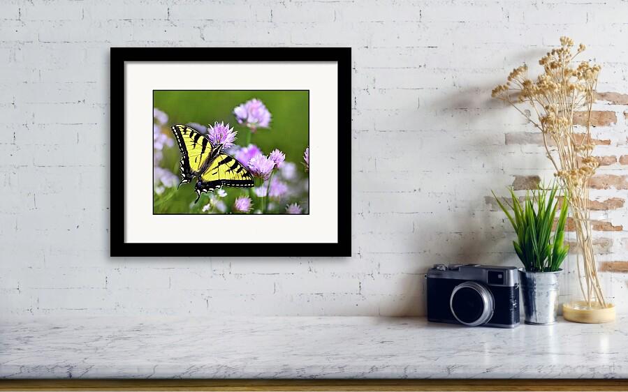 Eastern Tiger Swallowtail Butterfly Photo Print: Colorful Spring Garden ...