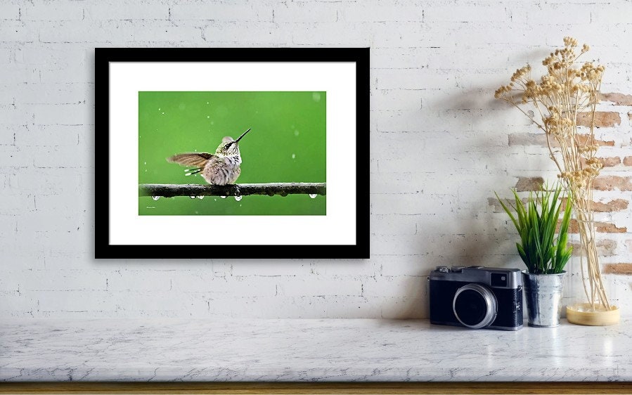 Cute Hummingbird Print Bird Photography Wildlife Pictures | Etsy
