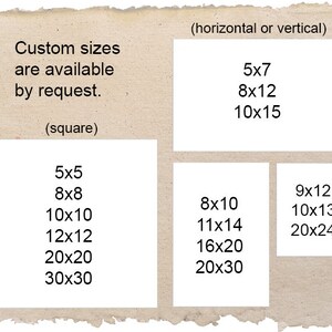 American Robin Watercolor Bird Fine Art Giclee Print: Rustic Vintage ...