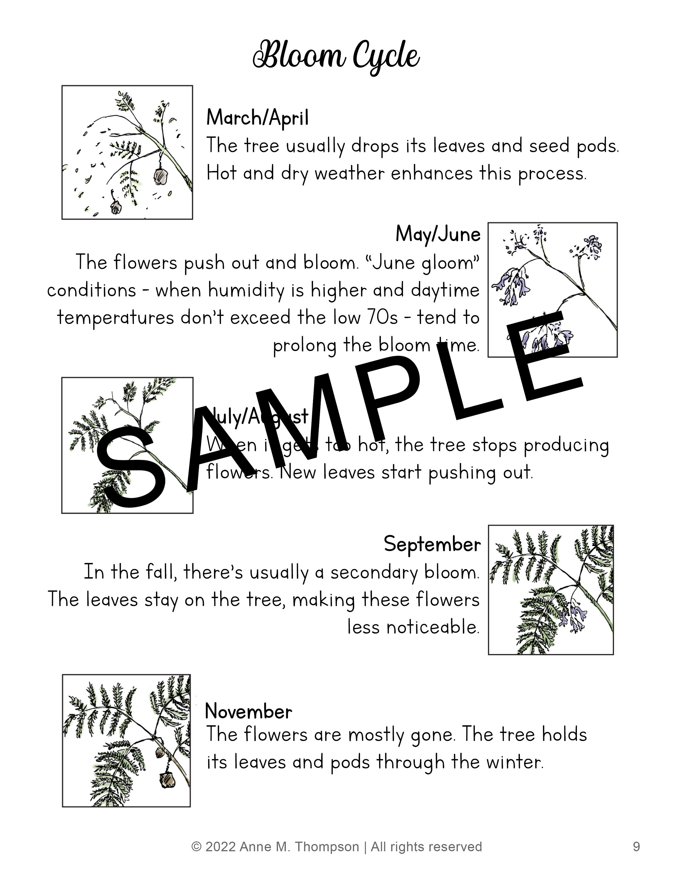 Jacaranda Tree Mini Unit Study Printable, Digital Download - Etsy