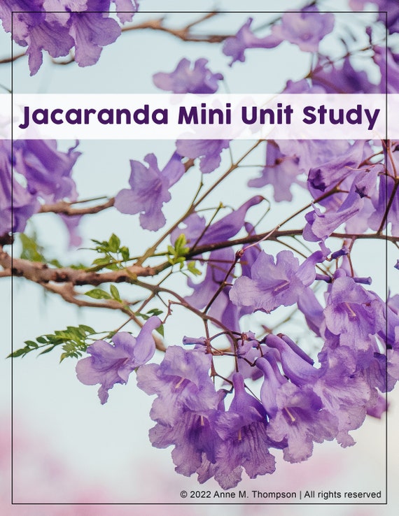 Jacaranda Tree Mini Unit Study Printable Digital Download | Etsy
