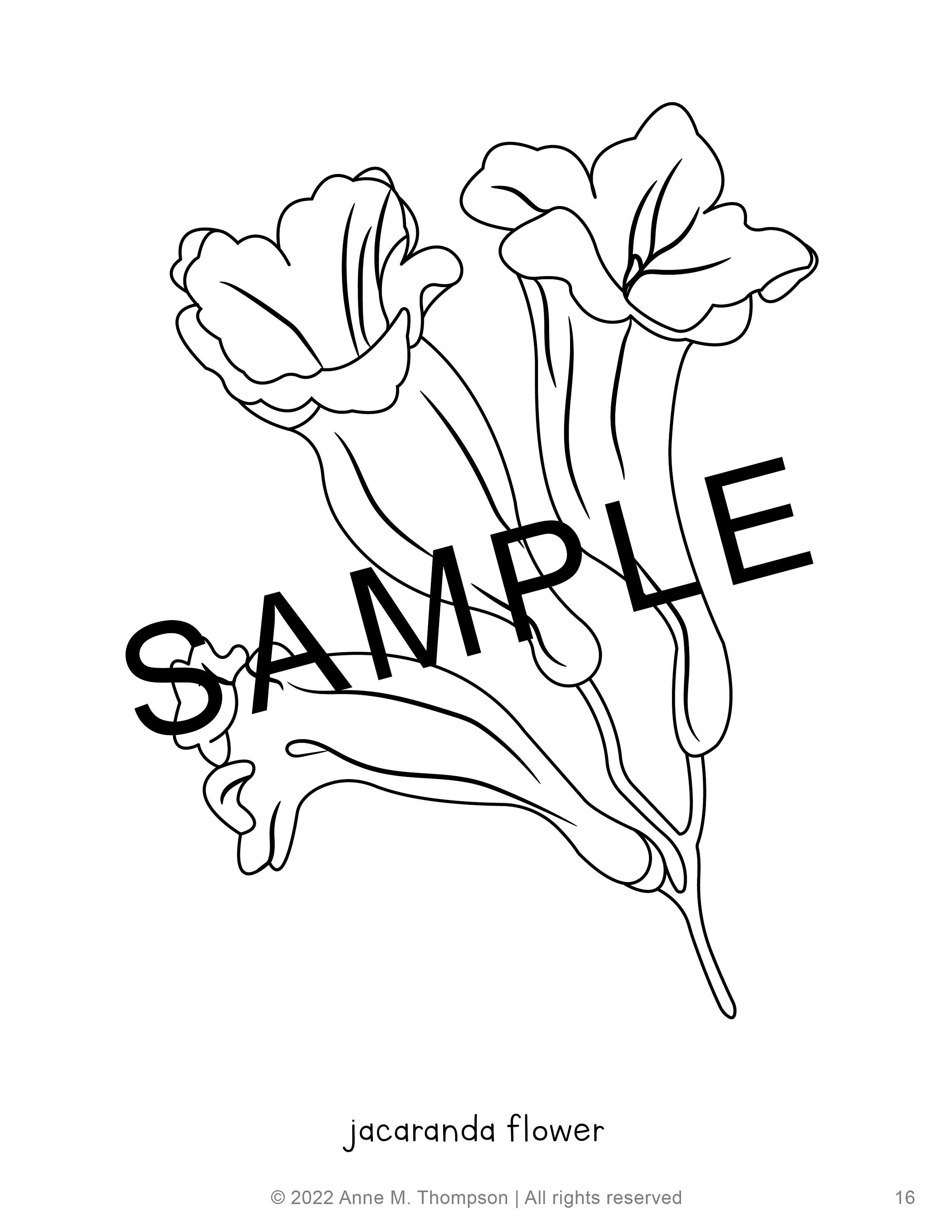 Jacaranda Tree Mini Unit Study Printable, Digital Download - Etsy