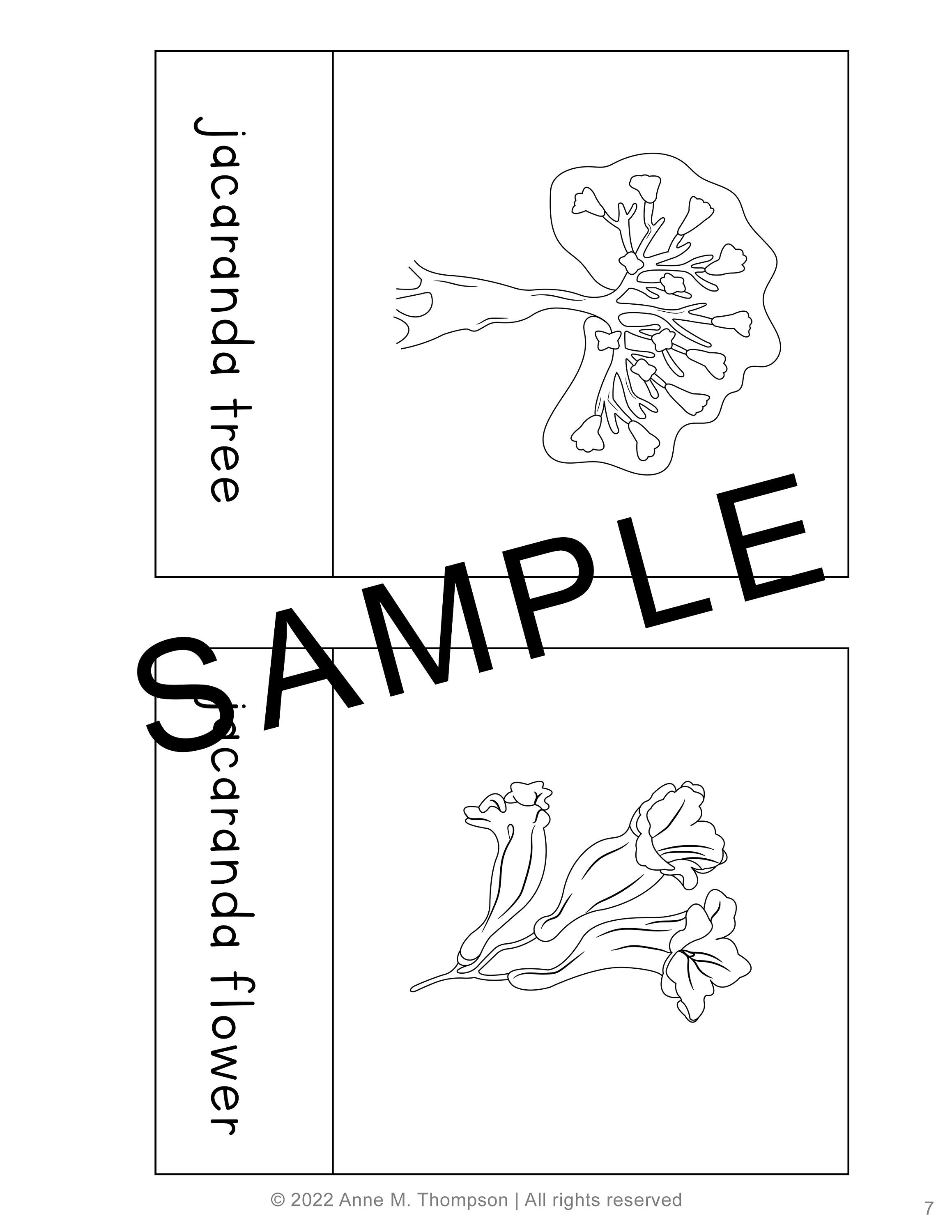 Jacaranda Tree Mini Unit Study Printable, Digital Download - Etsy