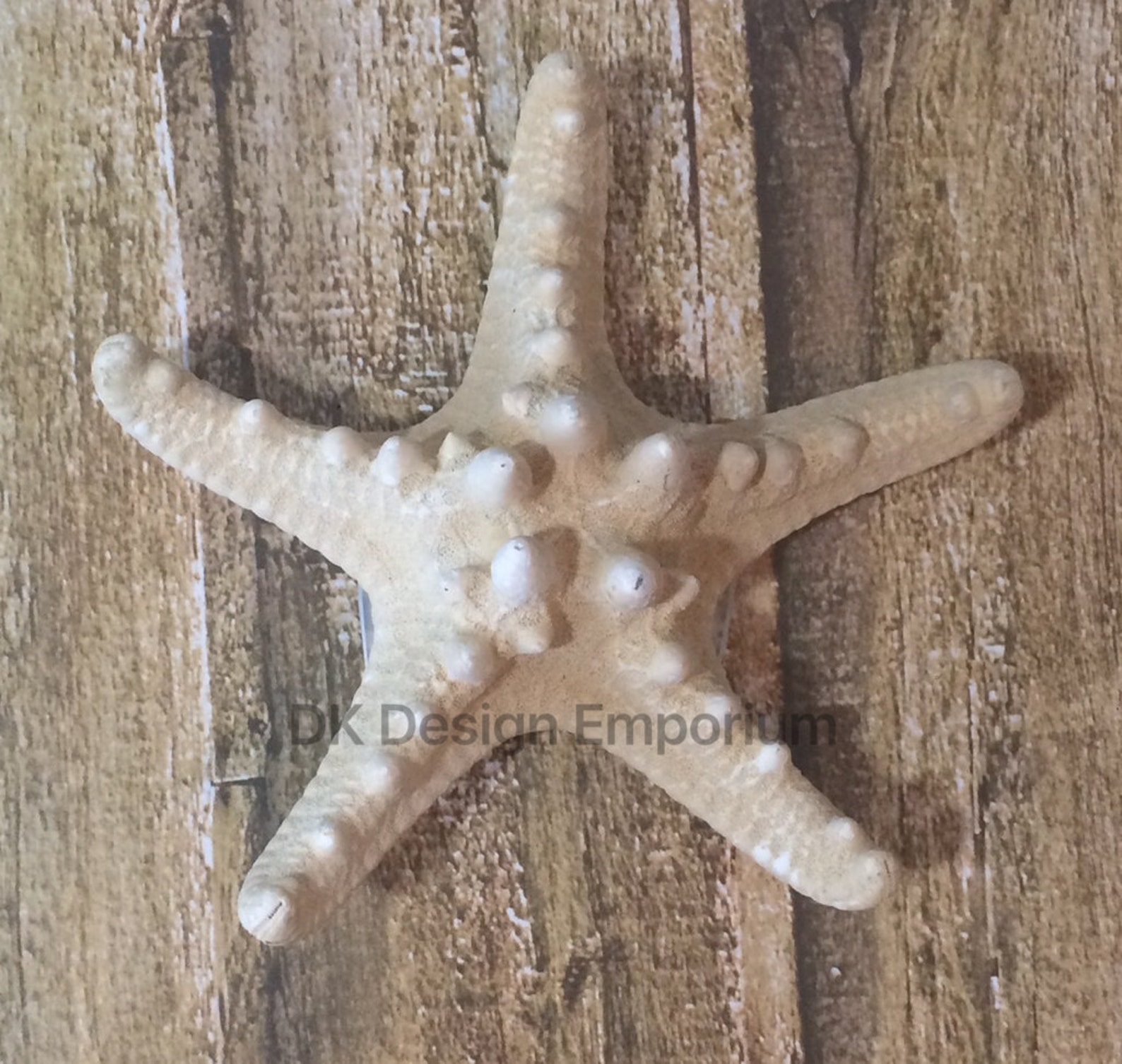 Sail Dress Costume Ariel Inspired Running Costume Little - Etsy