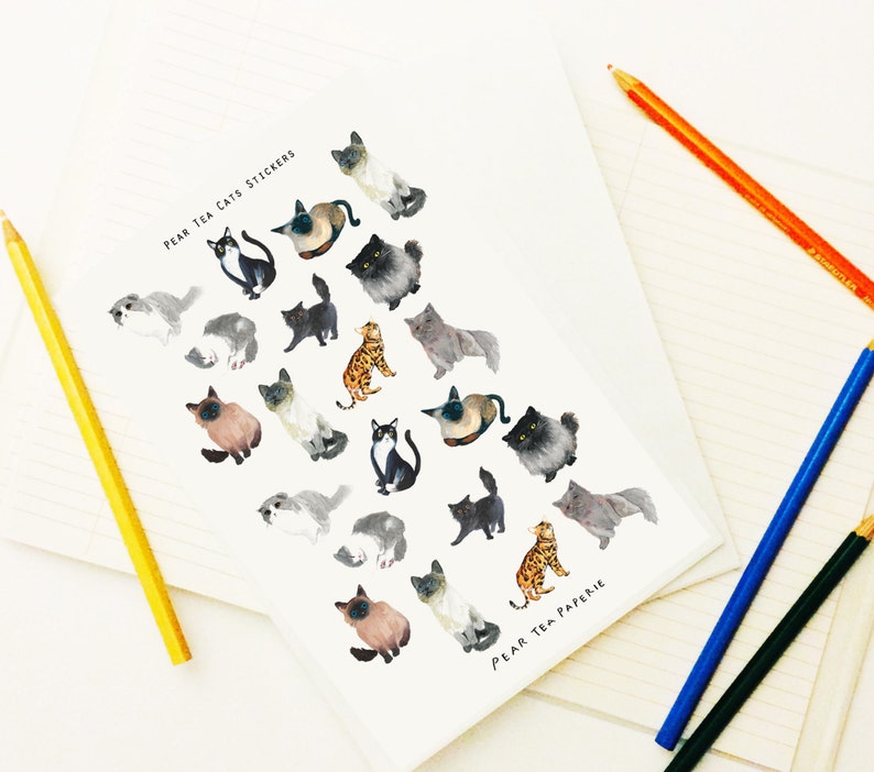 Cat Series Set Stickers,variety Sampler , Planner Stickers, Weekly ...