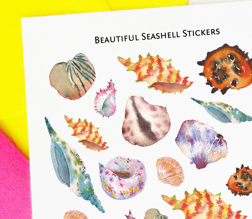 Beautiful Seashell Stickers, Seashell Stickers, Planning Stickers, Erin ...