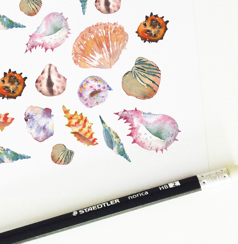 Beautiful Seashell Stickers, Seashell Stickers, Planning Stickers, Erin ...