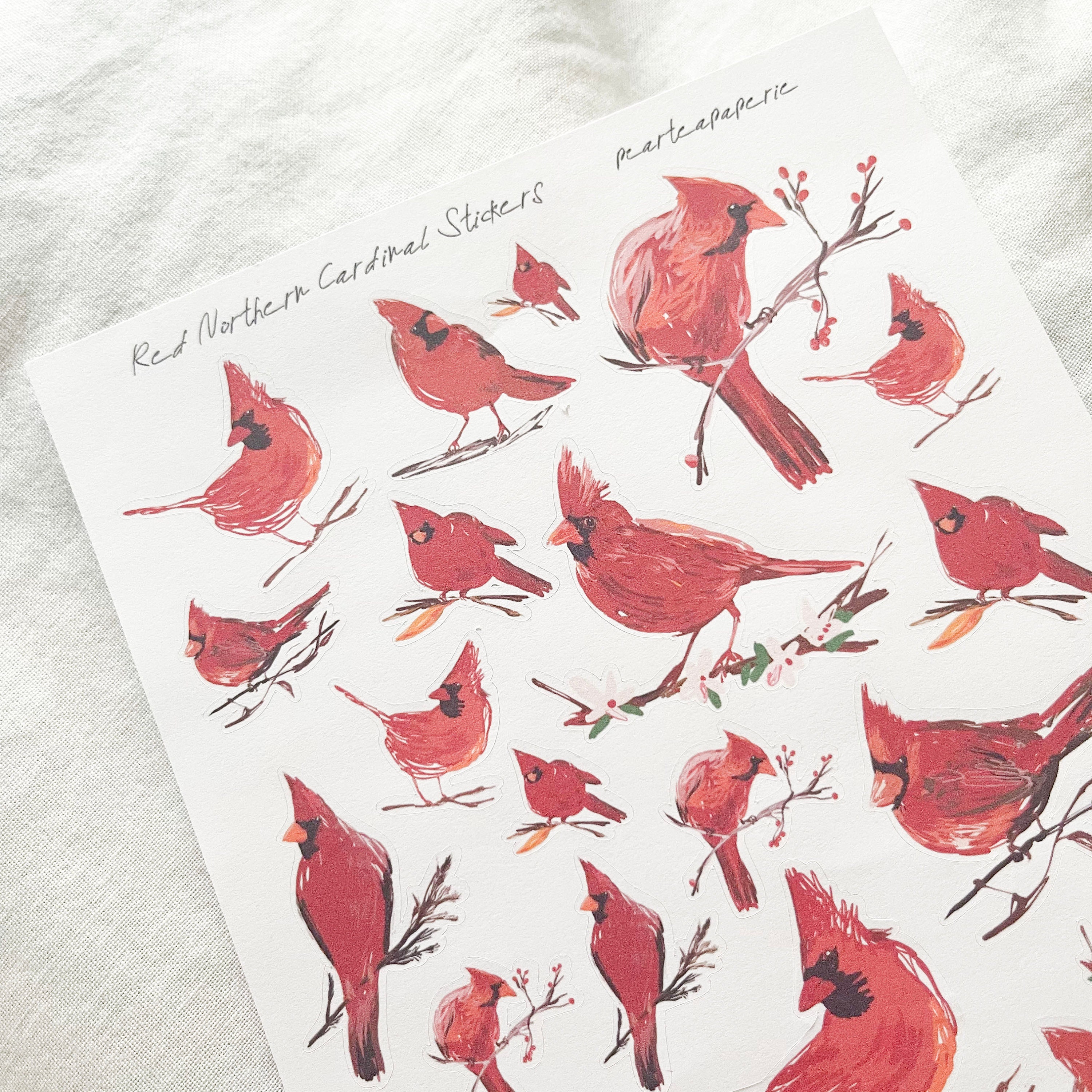 Red Northern Cardinal Stickers Bird Stickers Animal - Etsy