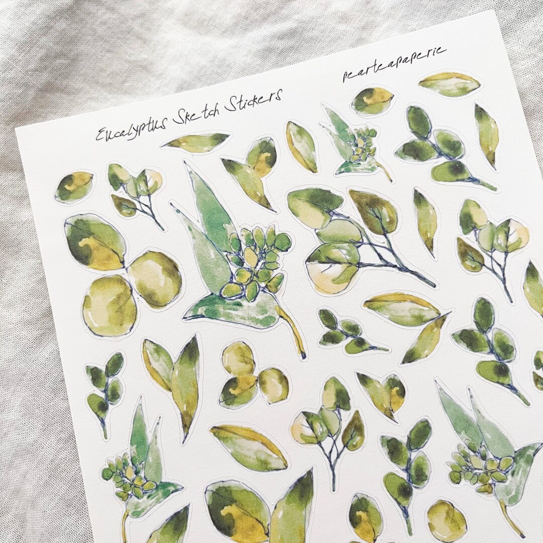 Eucalyptus Sketch Stickers / Watercolor Stickers, Hand Drawn Stickers ...
