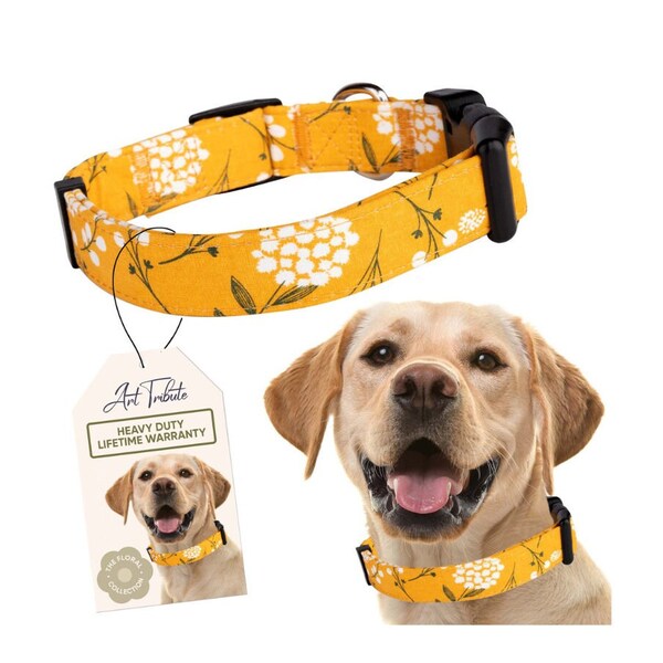 Spring Dog Collar - Etsy