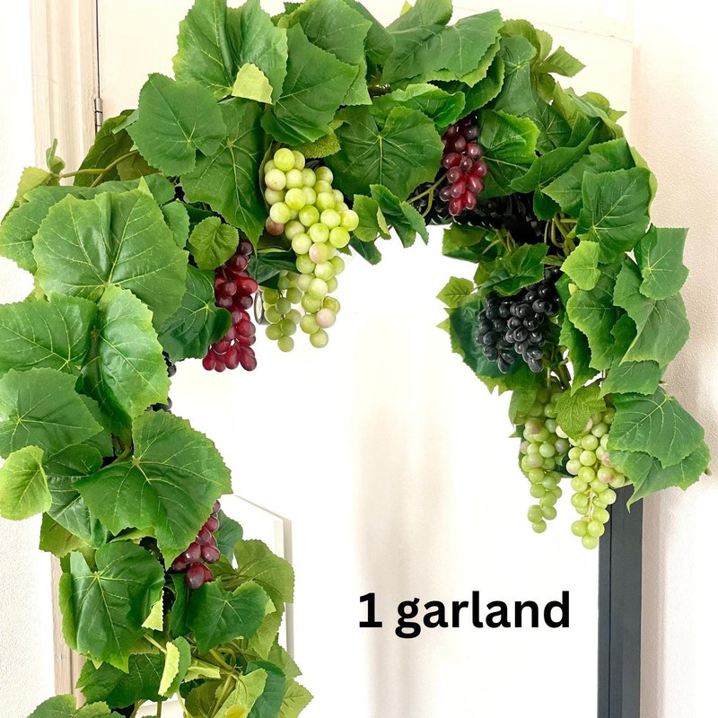 Grape Vines - Etsy