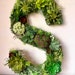 Large Moss Wall Letters 60cm, Moss Logo Sign, Botanical, Woodland ...