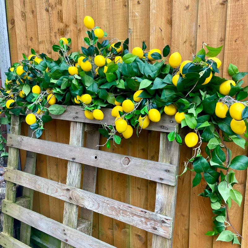 Lemon Decor - Etsy