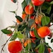 Artificial Orange Fruit Garland, Realistic Orange Fruit Decor ...