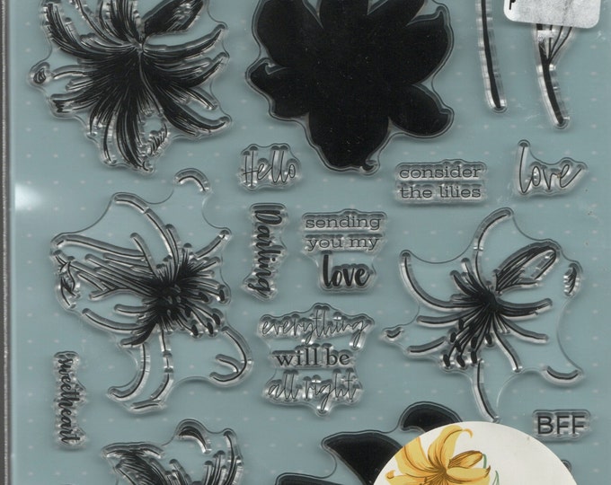 Beautiful Hip Stamp Hooray Stamp Set 'lily Builder Stamp Set', Set of ...