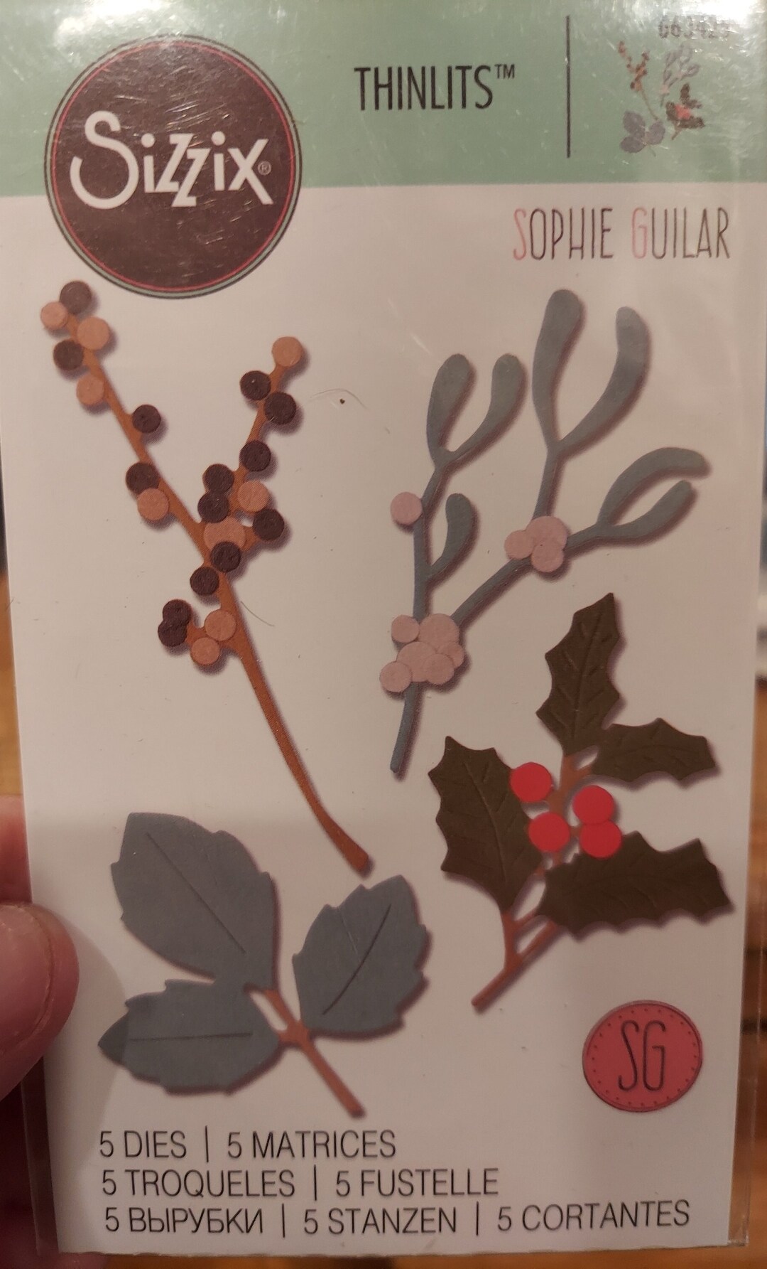 Sizzix, Winter Leaves Die Set, New in Package, Designed by Sophie ...