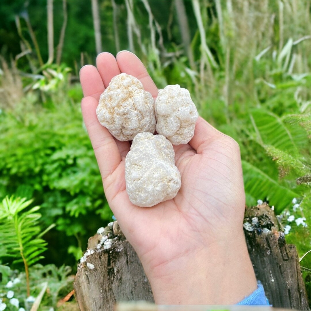 Geode Crystal Break Your Own, DIY Unopened Quartz Geodes, Gift for ...