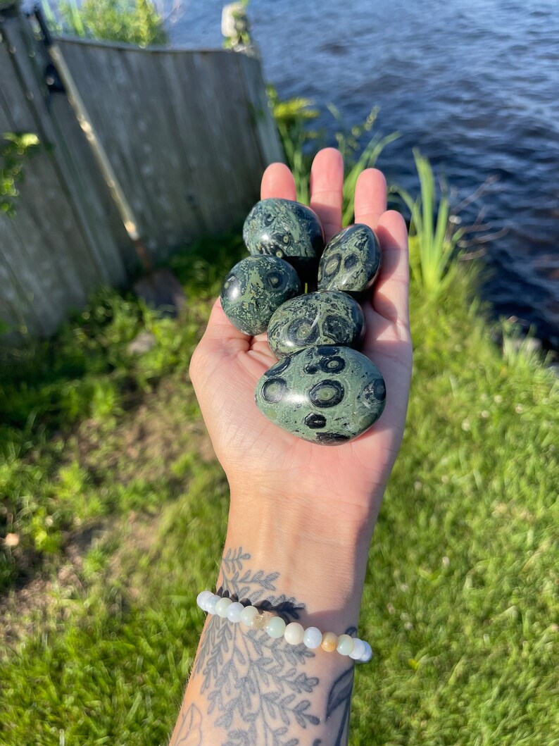 Kambaba Jasper Palm Stone, Healing Polished Gemstone - Etsy