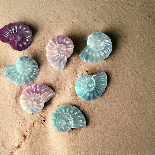 Rainbow Shell - Etsy