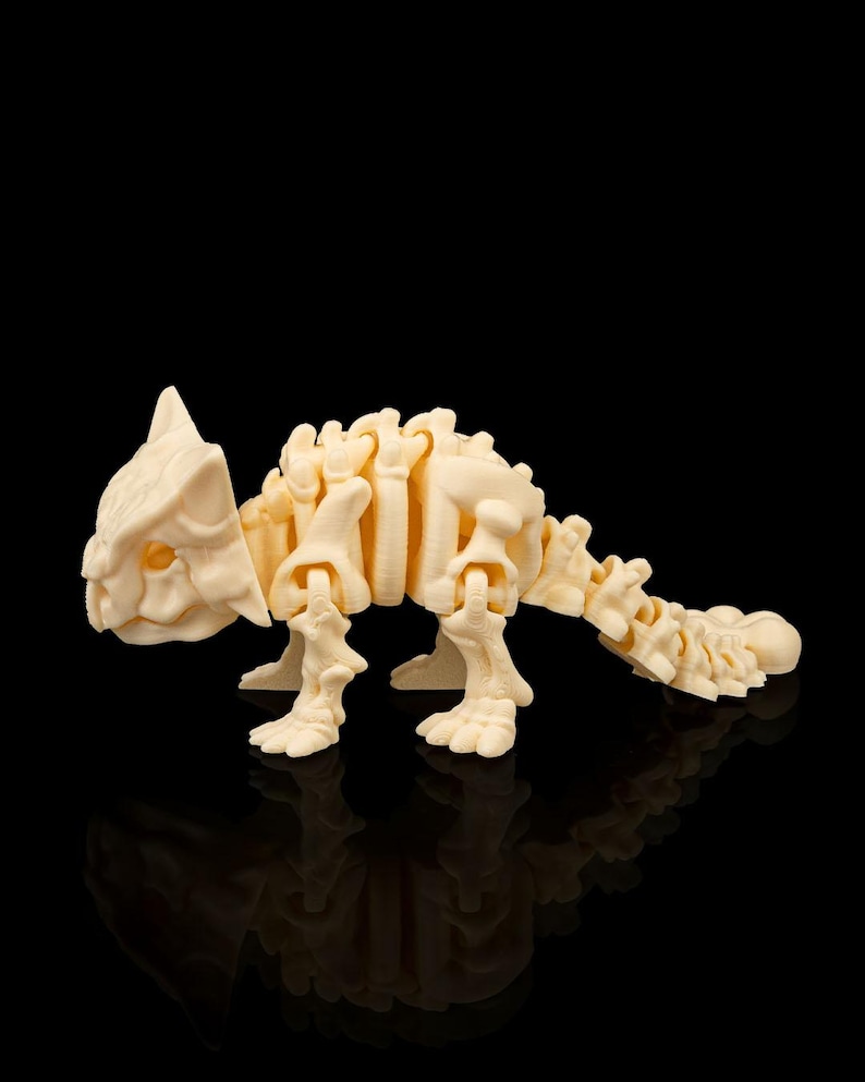Mini Articulated Skeleton Ankylosaurus 3D Collectible - Etsy