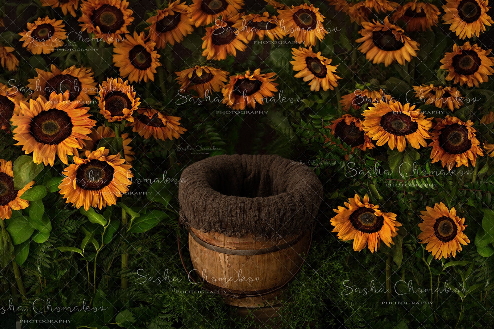 Digital Backdrop Background Newborn Girl Floral Flowers Sunflowers ...