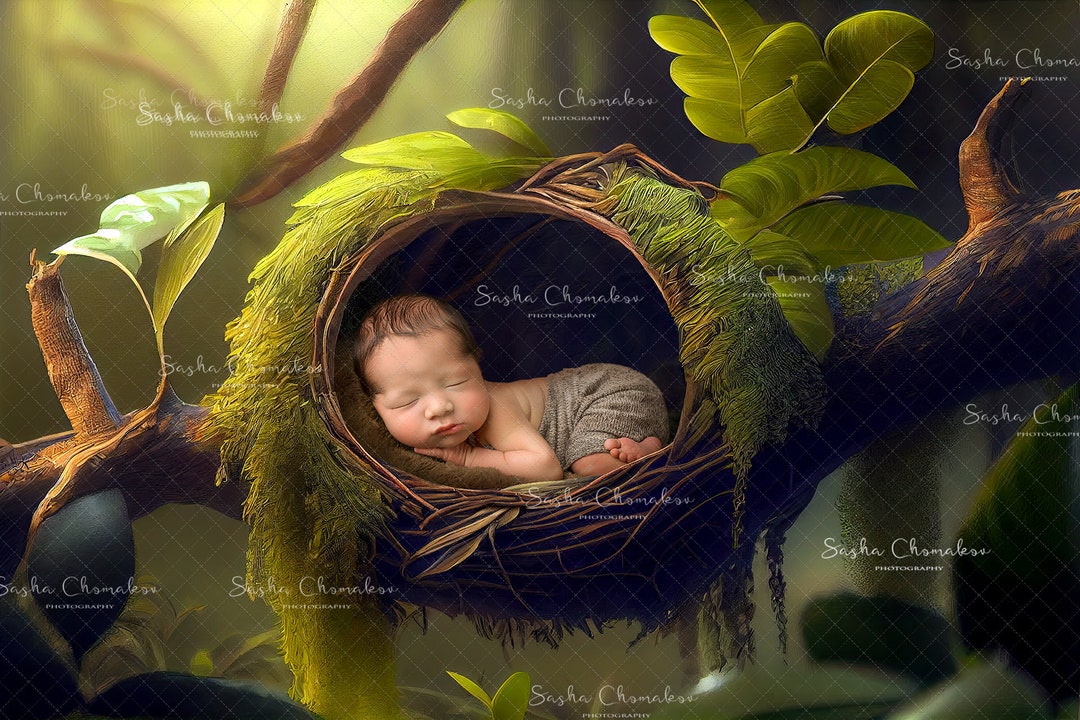 Digital Backdrop, Background Newborn Baby Girl or Boys , Hand Painted ...