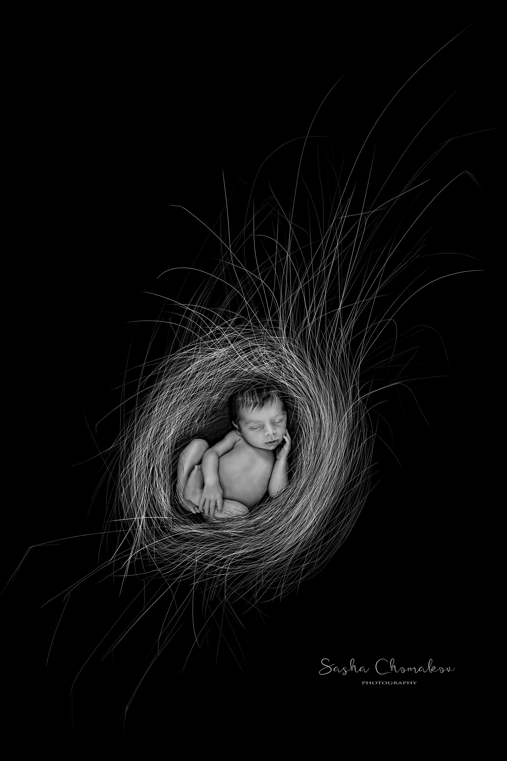 Digital Backdrop Background Newborn Baby Girl or Boy Nest Hand Drawing ...