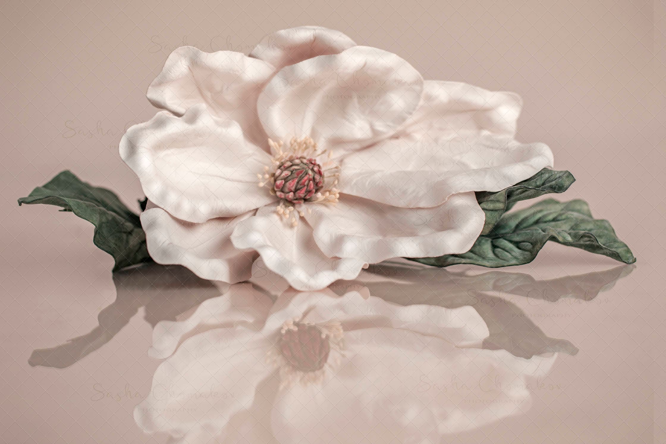 Digital Backdrop, Background Newborn Baby Girl White Cream Flower ...