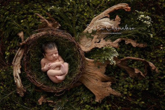 Digital Backdrop Background Newborn Baby Girl or Boy Forest | Etsy