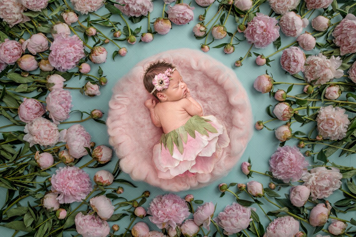 Digital Backdrop, Background Newborn Baby Girl Overhead Look Cream ...