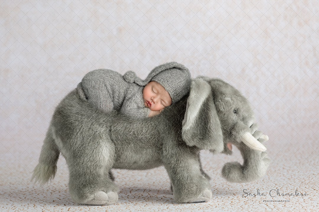 Digital Backdrop Background Newborn Boy or Girl , Elephants Side Pose ...