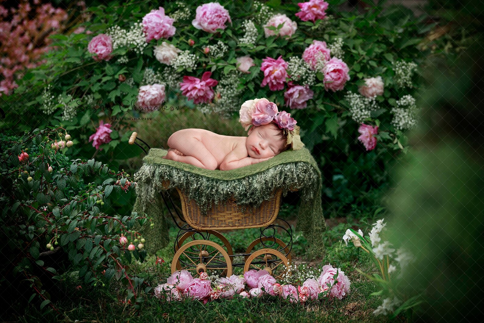 Digital Backdrop, Background Newborn Baby Girl or Boy , Forest Fairy ...