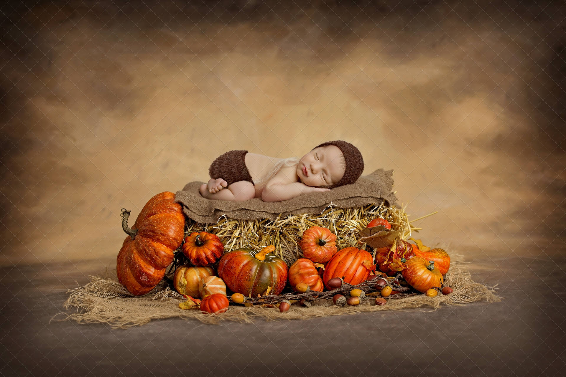 Digital Backdrop Background Newborn Baby Girl or Boy Toddler Pumpkin ...