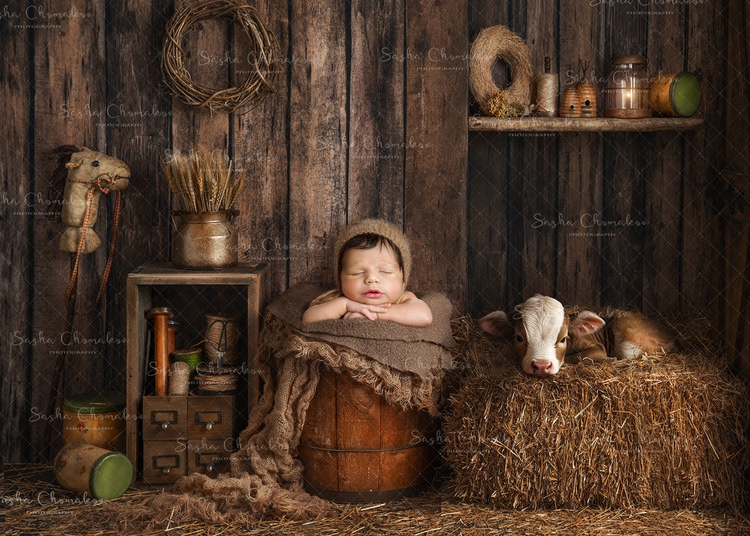 Digital Backdrop, Background Newborn Baby Girl or Boy Farm , Calf ...