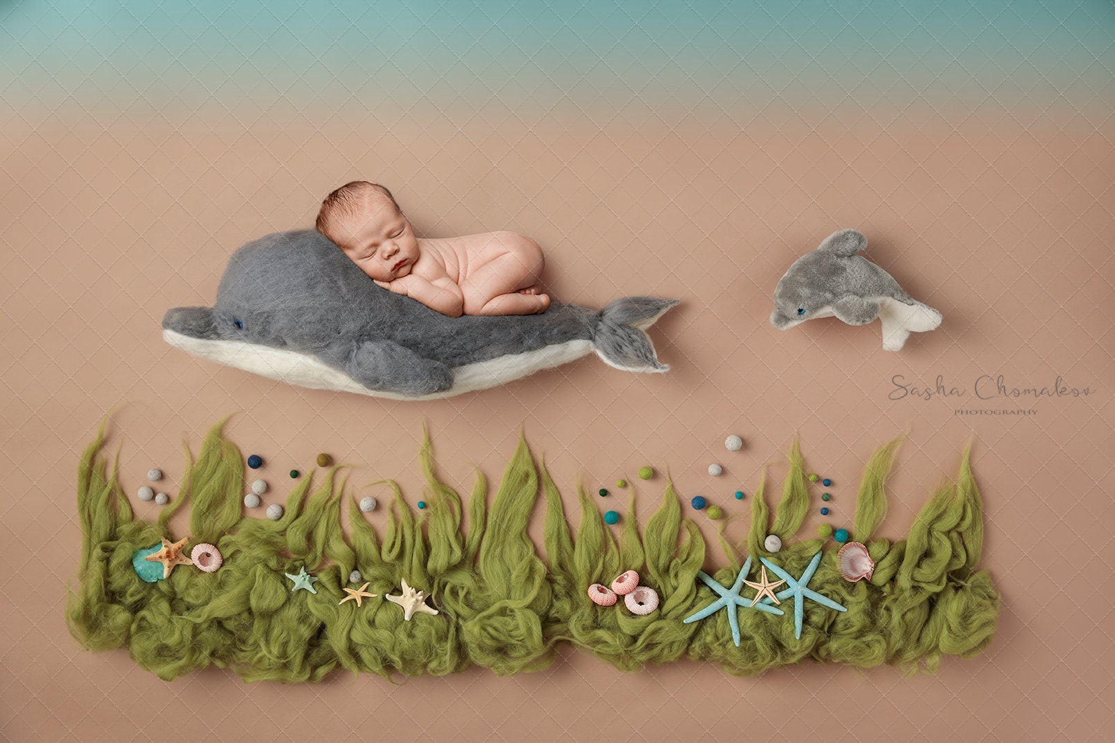 Digital backdrop background newborn baby girl or boy sea | Etsy