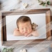 Digital Backgroundsbackdropsnewborn Baby Girl Boy Natural Frames Ai ...