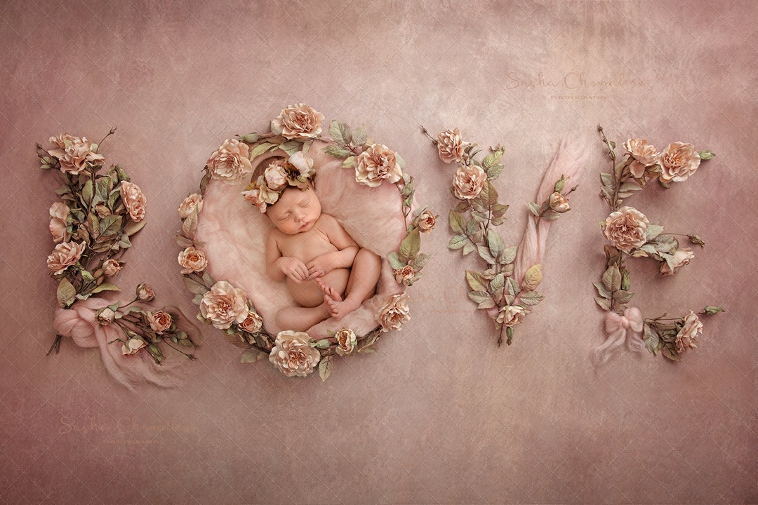 Digital Backdrop, Background Newborn Baby Girl Peach Flowers Pink ...