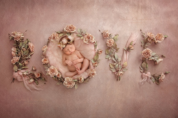 Digital backdrop background newborn baby girl peach flowers | Etsy