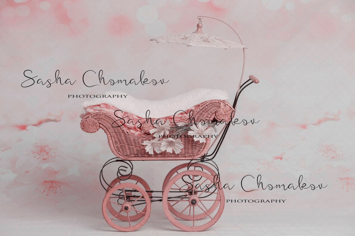 Digital Backdrop Background Newborn Baby Girl Flowers Vintage | Etsy