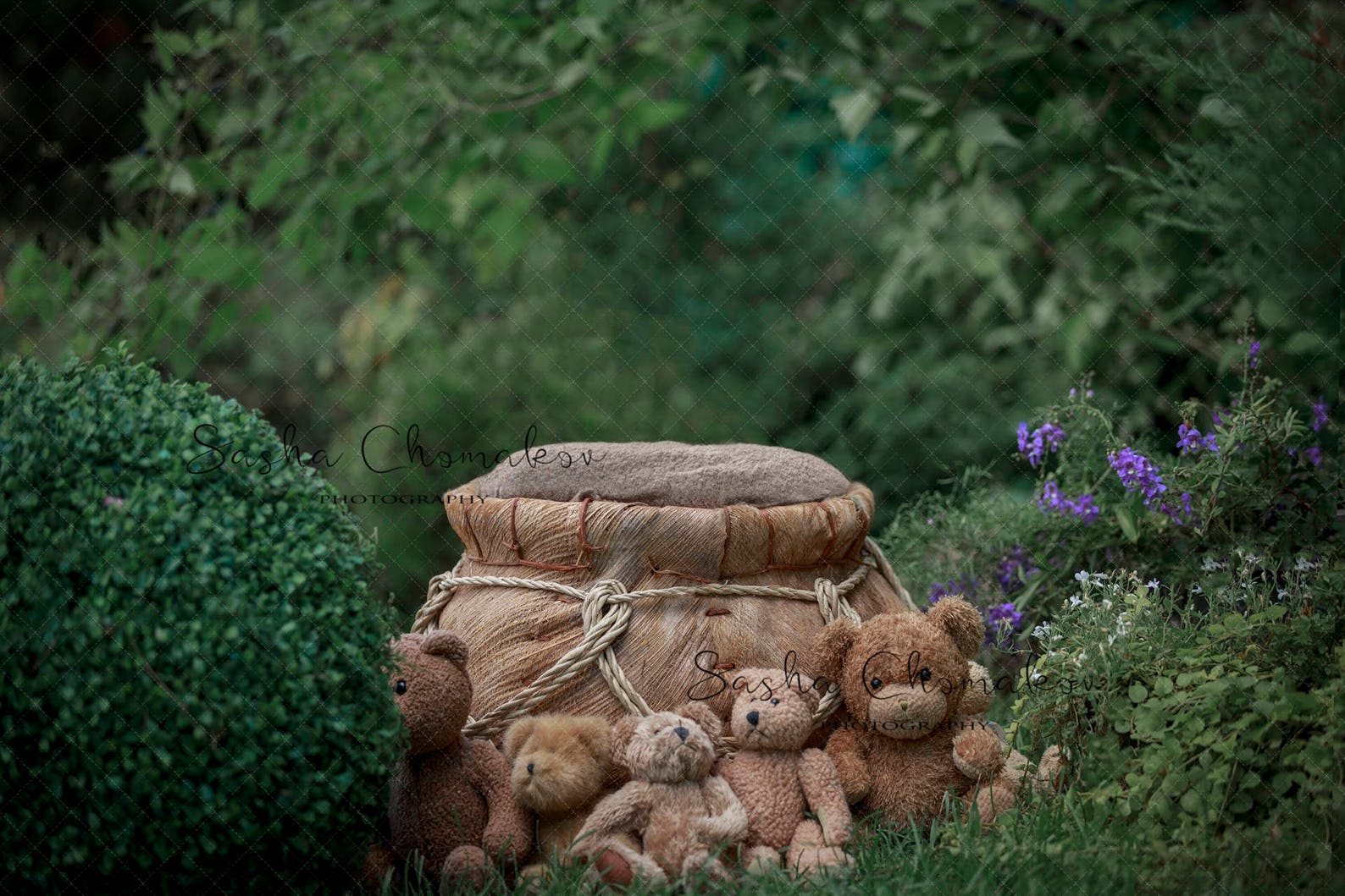 Digital Backdrop, Background Newborn Baby Girl or Boy Outdoor Garden ...