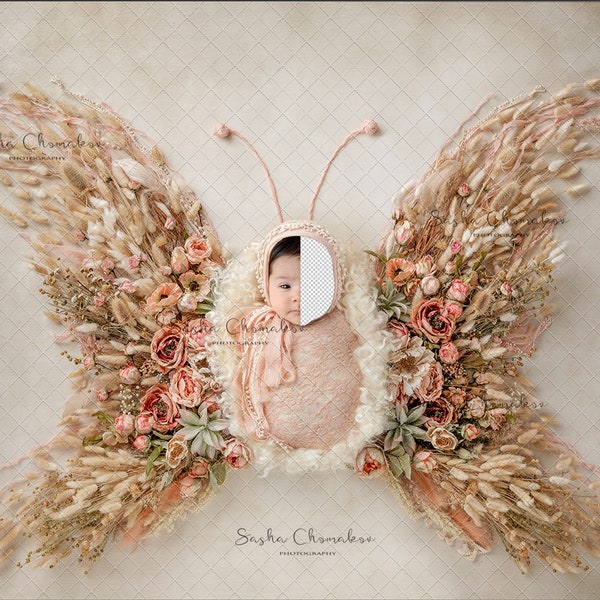 Newborn Butterfly Digital Backdrop - Etsy Canada