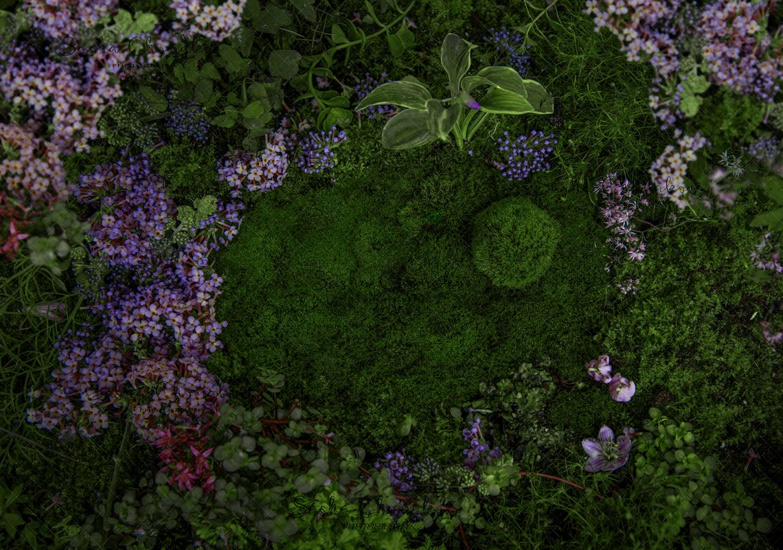 Digital Backdrop, Background Newborn Baby Girl Outdoor Garden Fairy ...