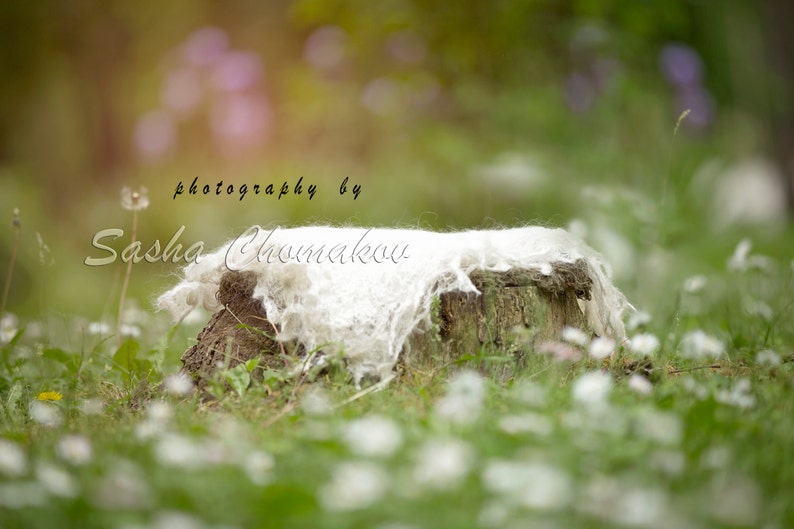 Digital Backdrop, Background Newborn Baby Boy or Girl Outdor Forest ...