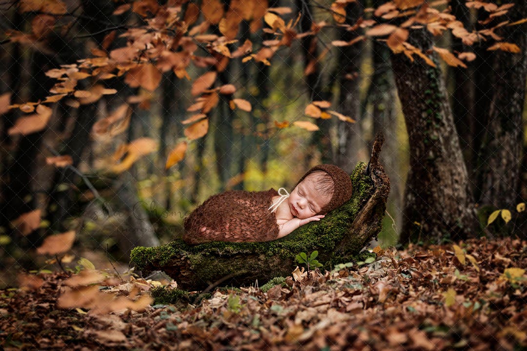 Digital Backdrop, Background Newborn Baby Girl or Boy , Fairy Tail ...