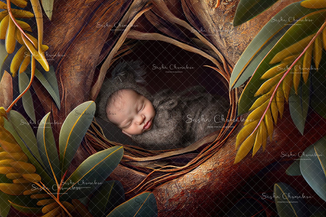 Digital Backdrop, Background Newborn Baby Girl Boy Hand Painted Style ...