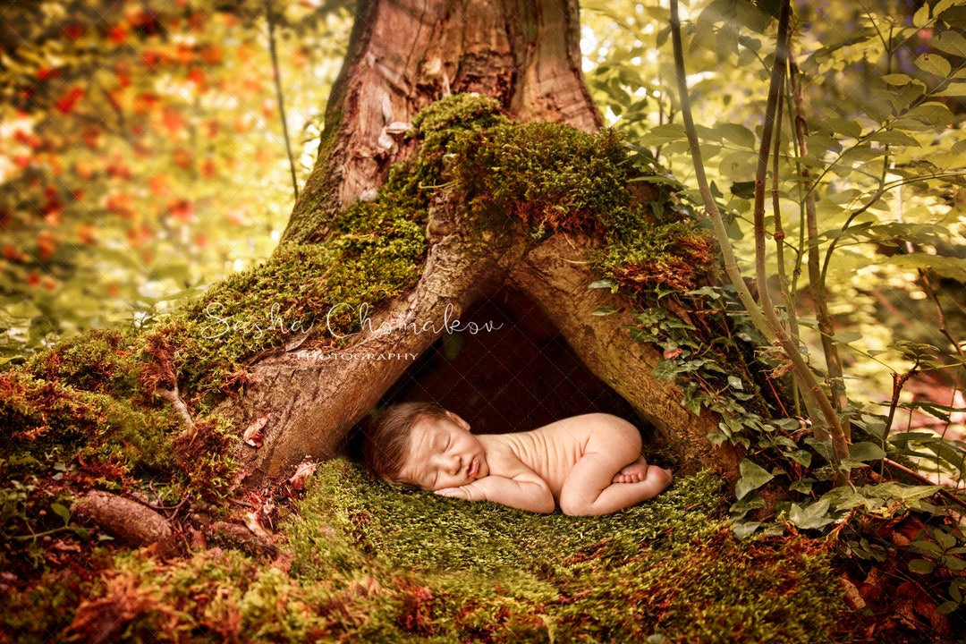 Digital Backdrop Background Newborn Baby Boy or Girl Green Forest Fairy ...