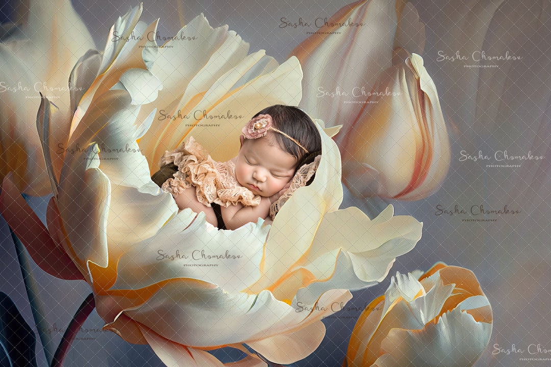 Digital Backdrop, Background Newborn Baby Girl , Hand Painted Tulips ...