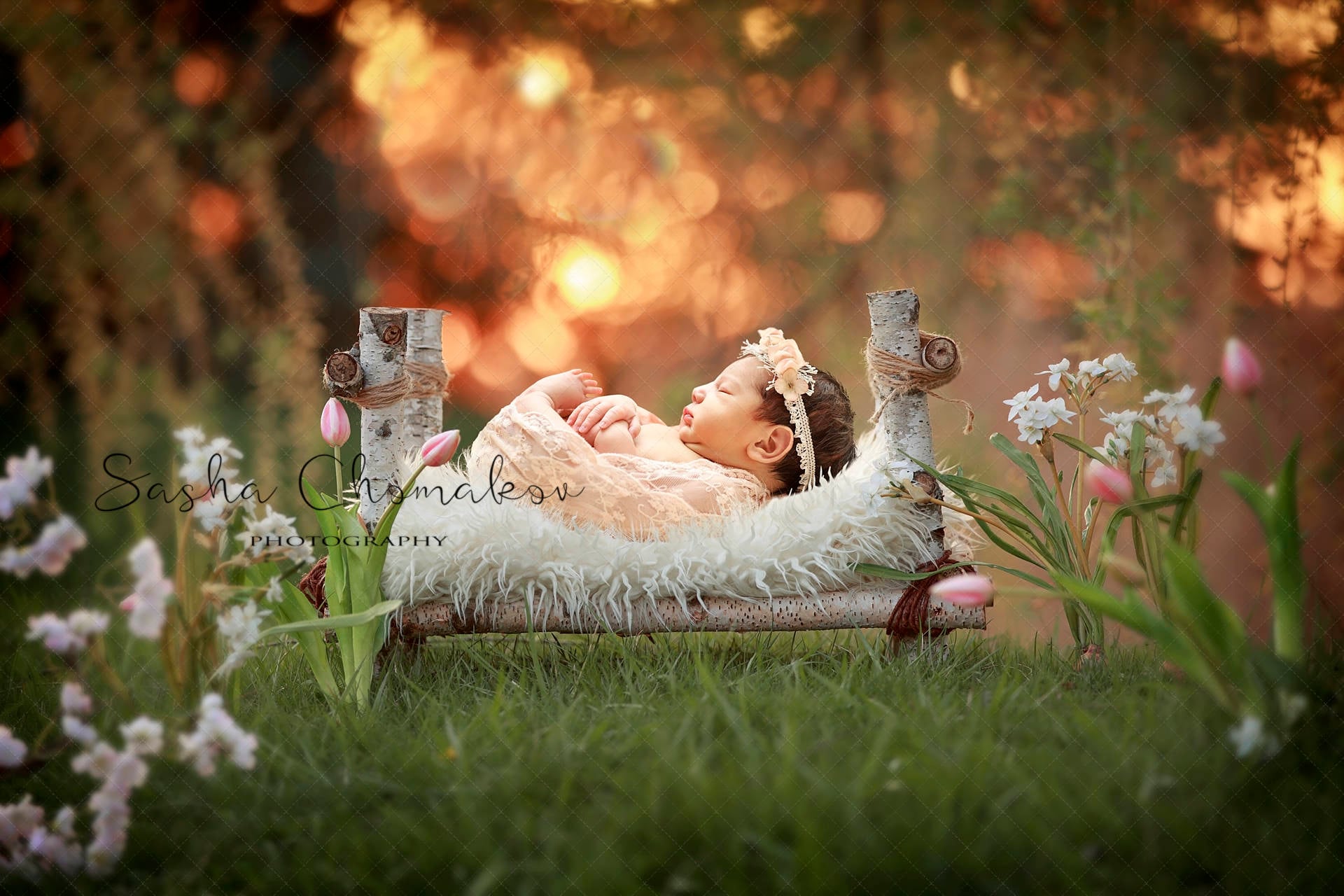 Digital Backdrop Background Newborn Baby Girl or Boy Outdoor Garden ...