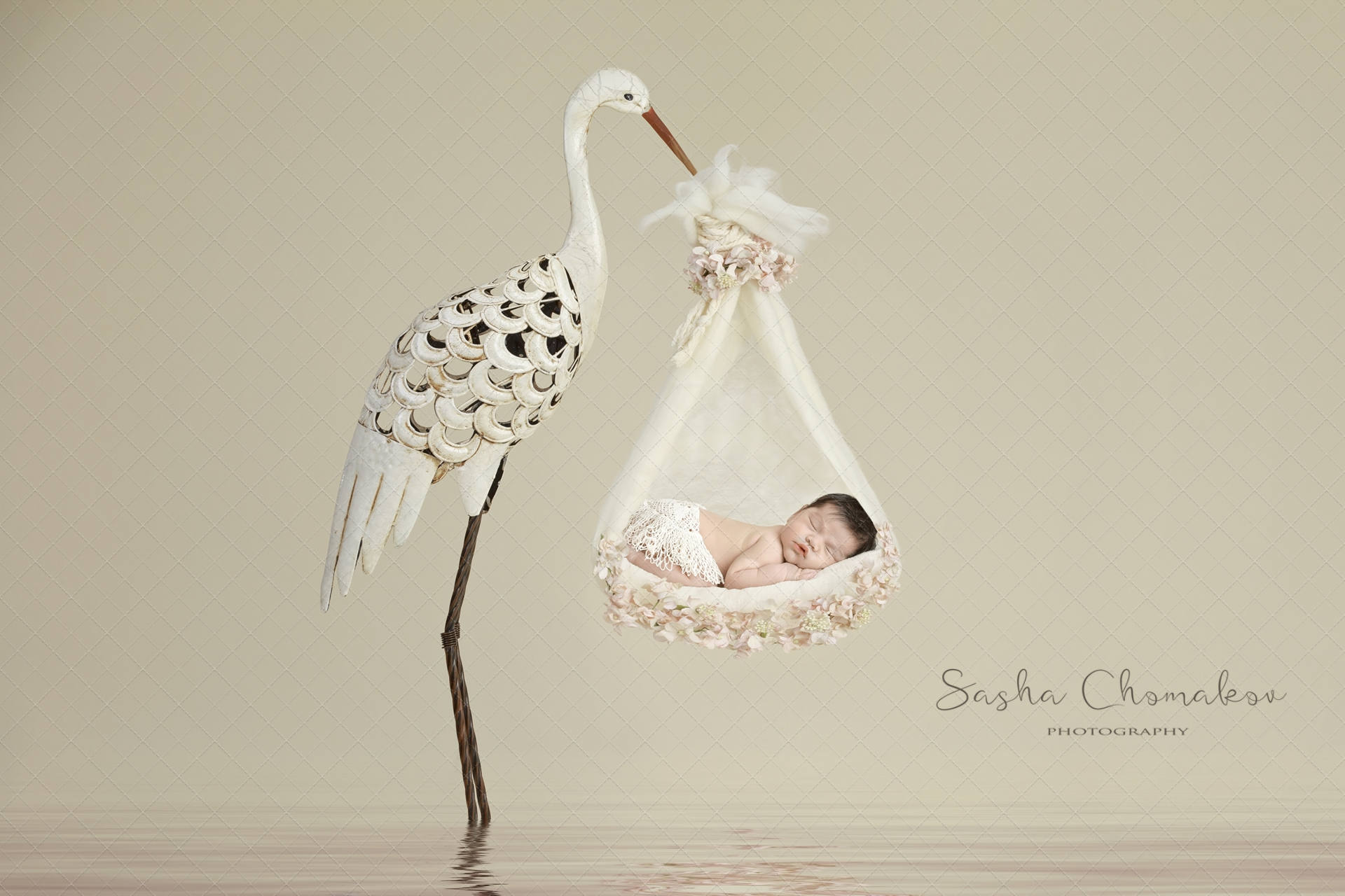 Digital backdrop background newborn baby girl stork | Etsy